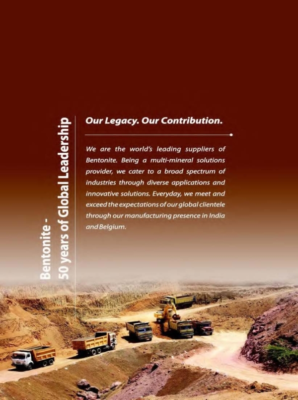 Bentonite Powder – New Dhaka Rubber