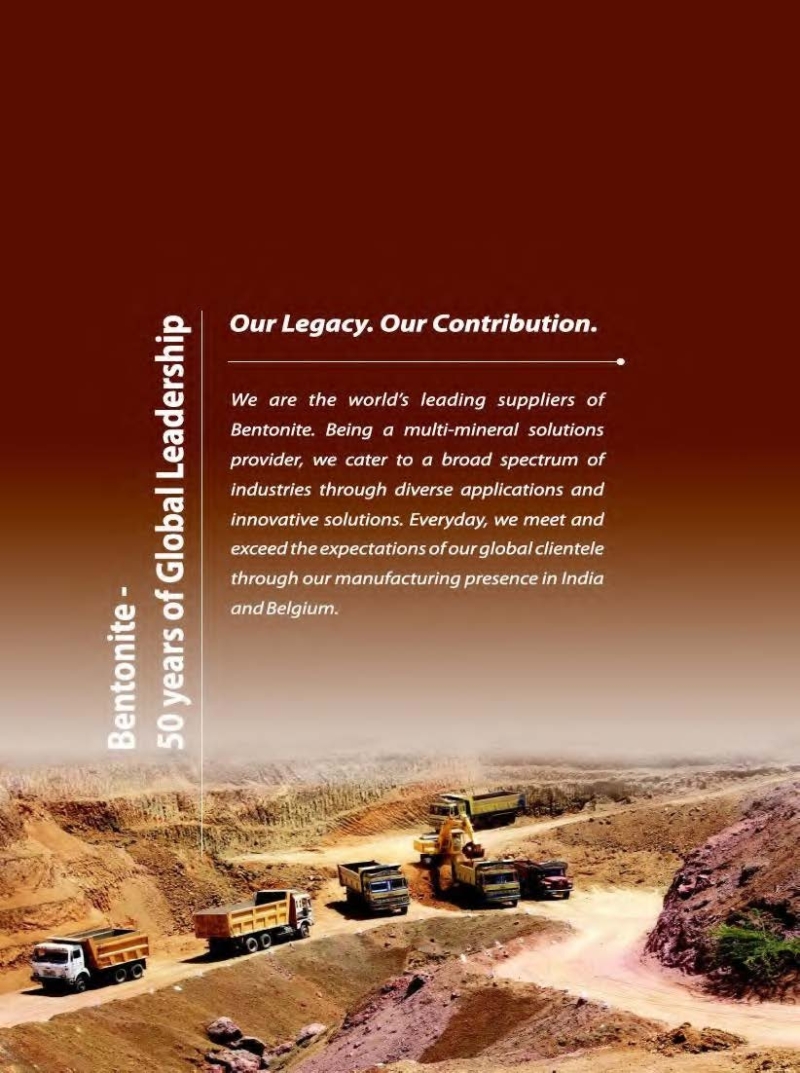 Bentonite Powder – New Dhaka Rubber